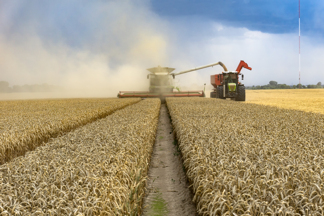 Combine working on the yellow field – ASKMigration: Canadian Lifestyle ...